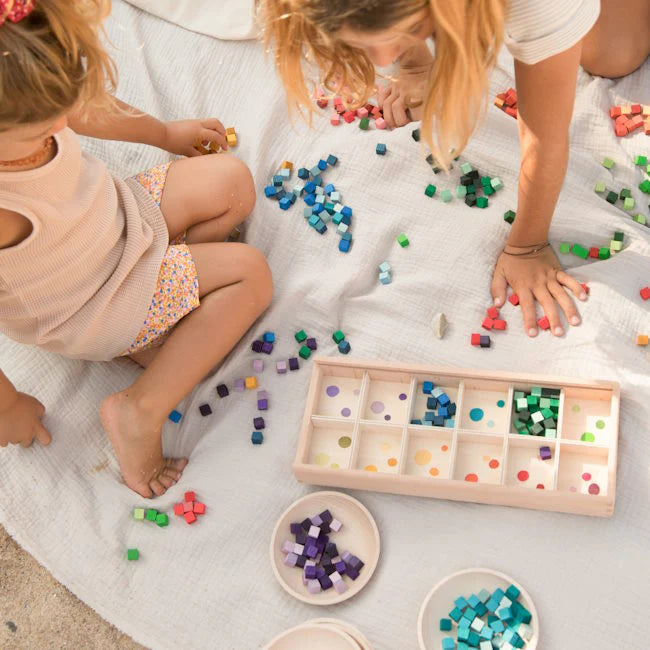 Colour Sorting Activities – Play to Learn