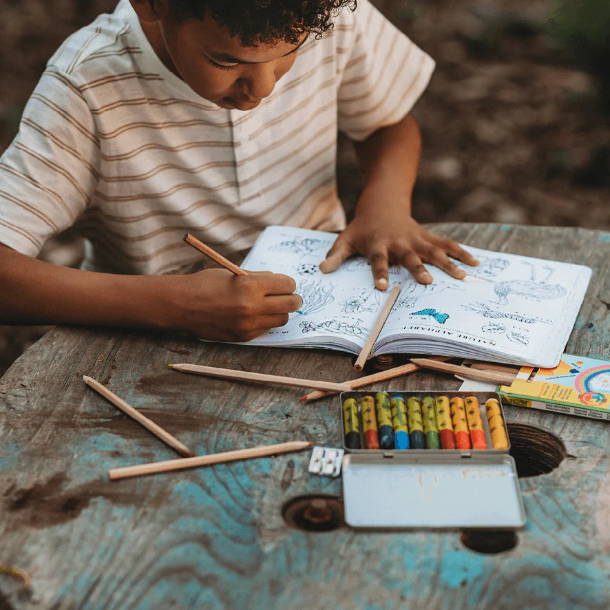 Your Wild Activity Book Play To Learn
