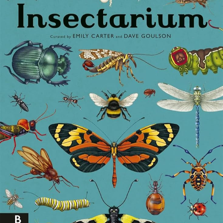 Insectarium – Play to Learn