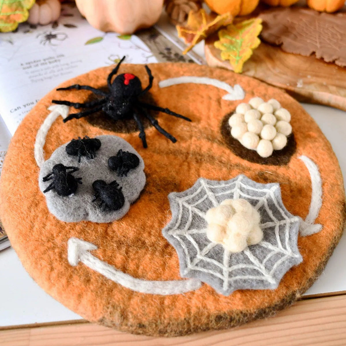 Felt Life Cycle Redback Spider – Play to Learn