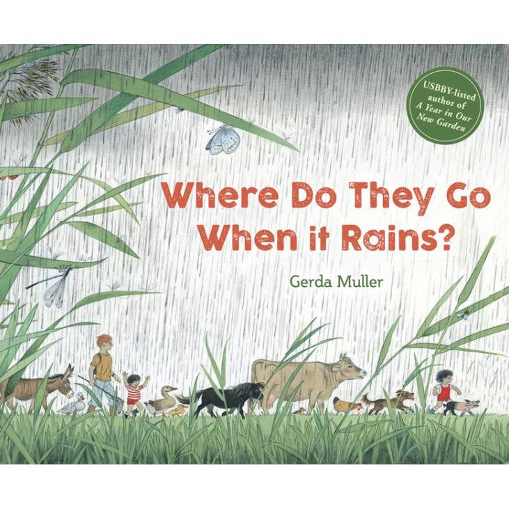 Where Do They Go When it Rains? – Play to Learn